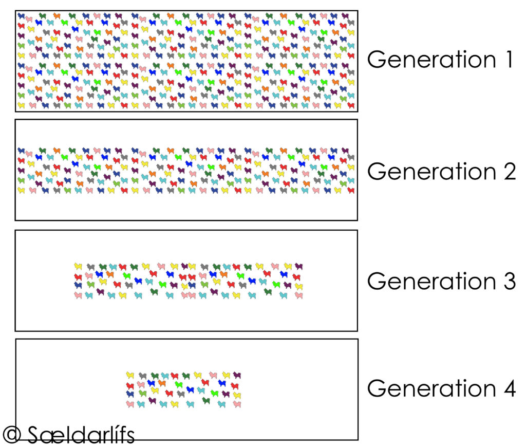 Wat is Genetische Diversiteit ~ Sældarlífs