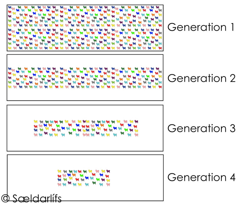Wat is Genetische Diversiteit ~ Sældarlífs